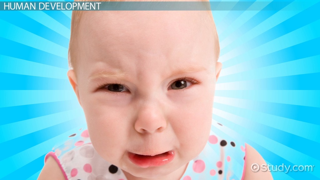 Organogenesis | Definition & Overview - Video | Study.com