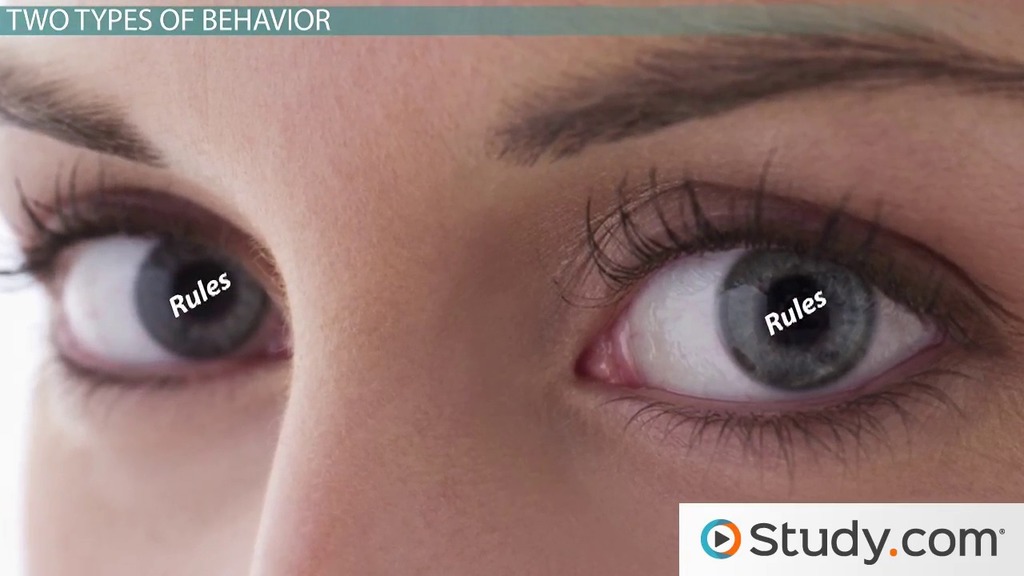 Legitimate and Illegitimate Political Behavior in Organizations ...