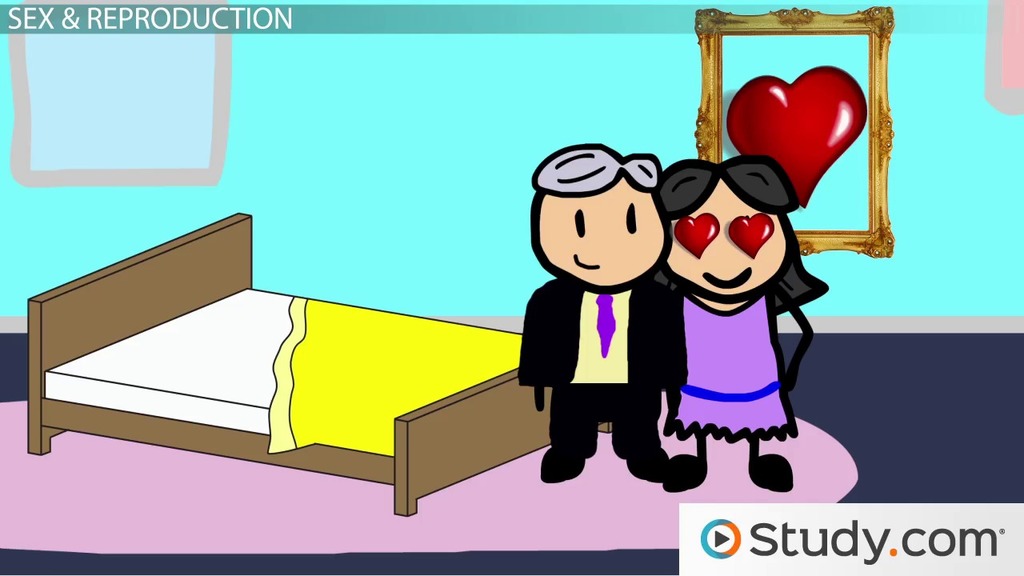 Reproduction in Early Adulthood - Lesson | Study.com