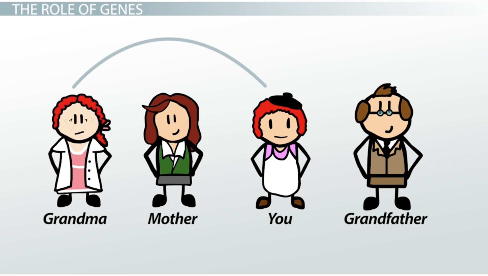 Genetic Fitness: Selection - Video & Lesson Transcript | Study.com