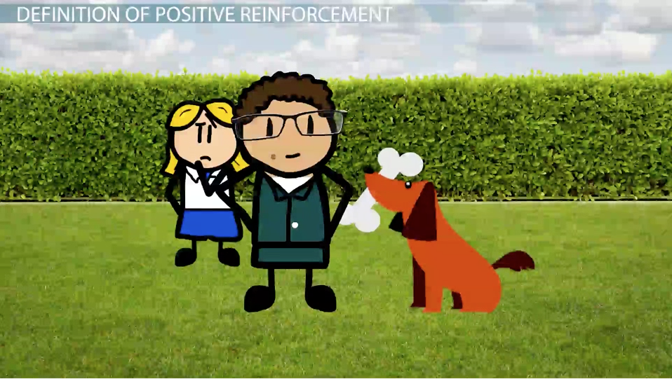 Positive Reinforcement: Definition & Examples - Video & Lesson ...