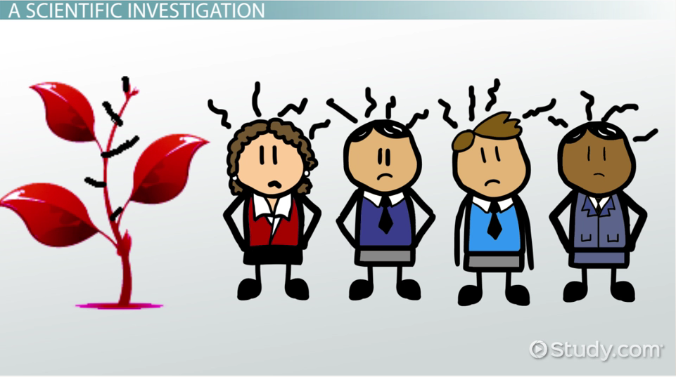 How to Avoid Bias in Scientific Investigations - Video & Lesson ...