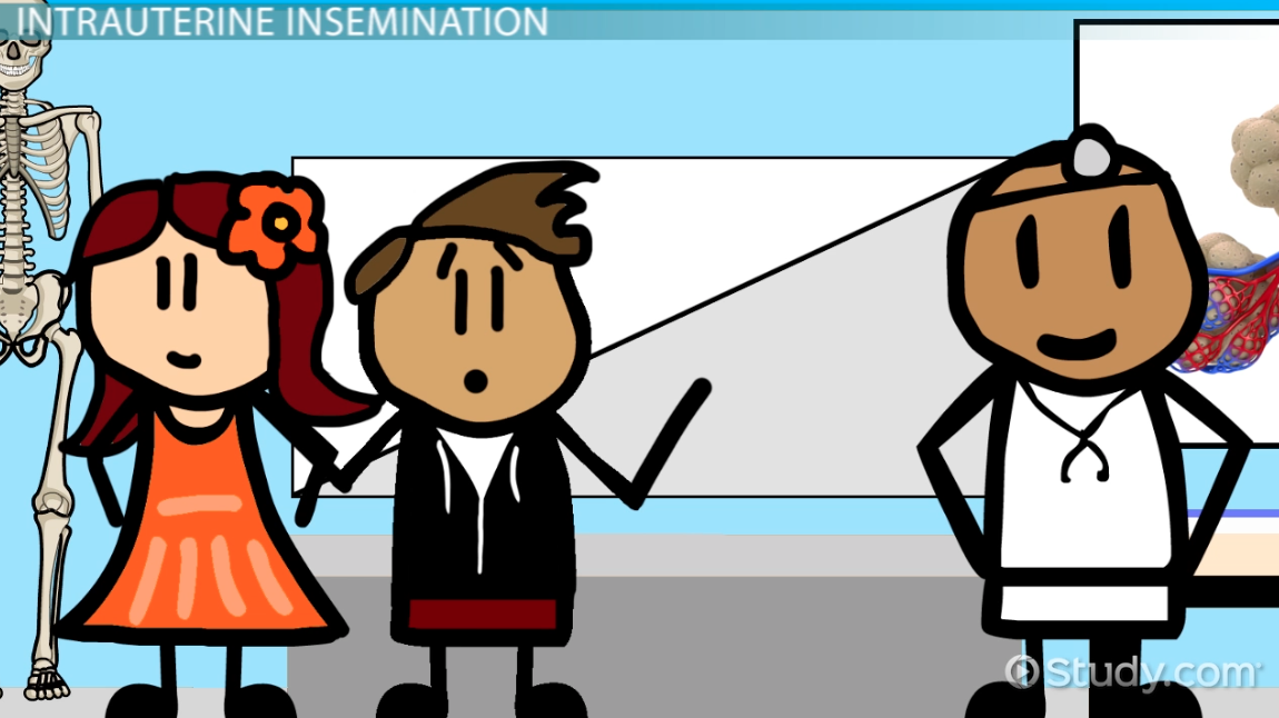 Reproductive Technologies: Definition, Examples & Risks - Lesson ...