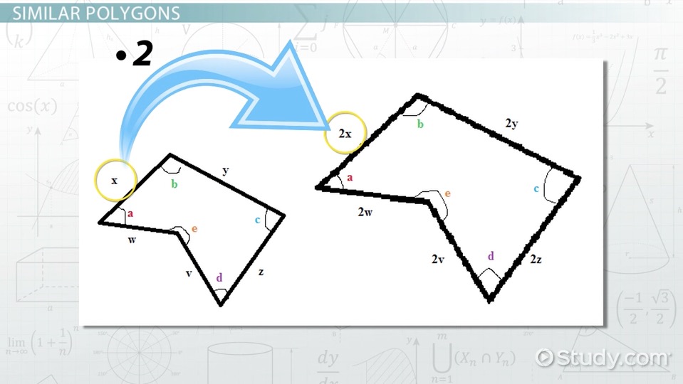 Similar Polygons Practice Problems Video Lesson Transcript Study Similar Polygons Practice Problems Video Lesson Transcript Study