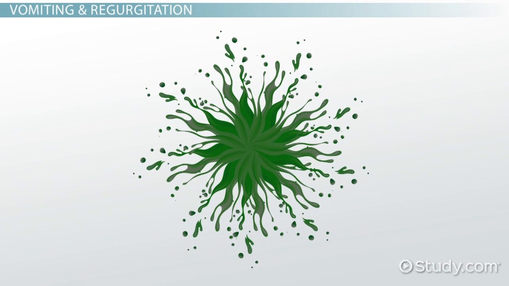 Terminology of Indigestion and Vomiting - Lesson | Study.com