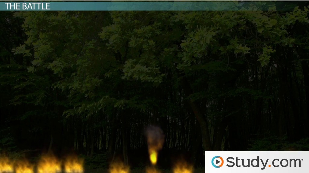The Wilderness Campaign | History, Significance & Summary - Lesson ...