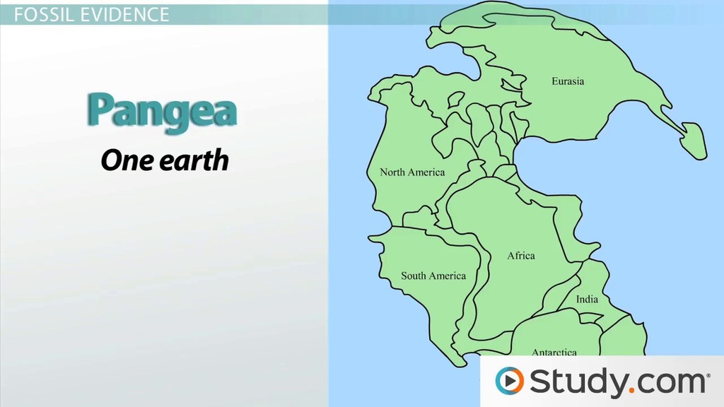 Alfred Wegener s Theory Of Continental Drift Video Lesson Alfred Wegener s Theory Of Continental Drift Video Lesson
