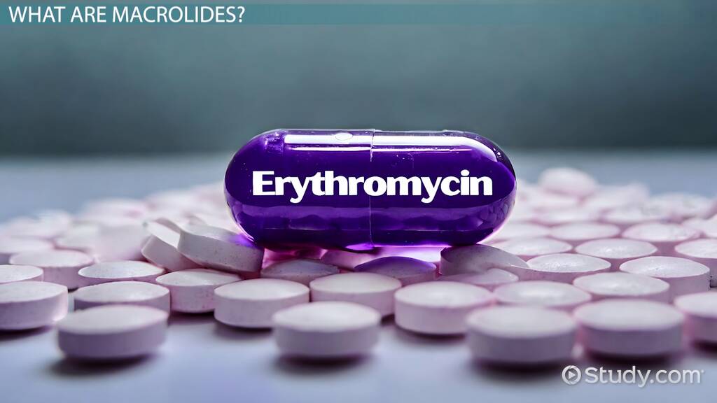 Macrolides | Mechanism of Action, Uses & Examples - Lesson | Study.com