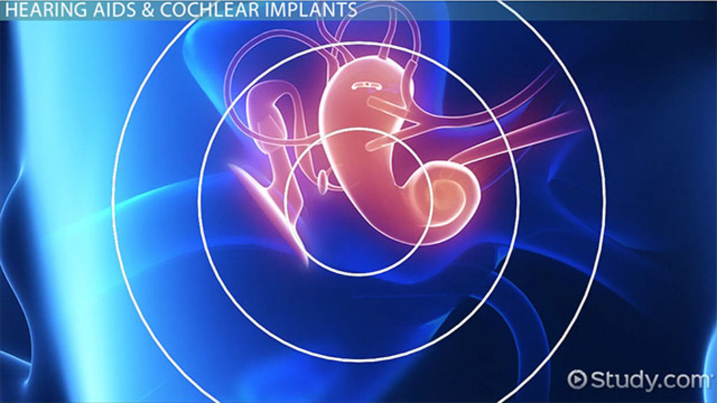 Treatment & Terminology of Ear-Related Problems - Video | Study.com