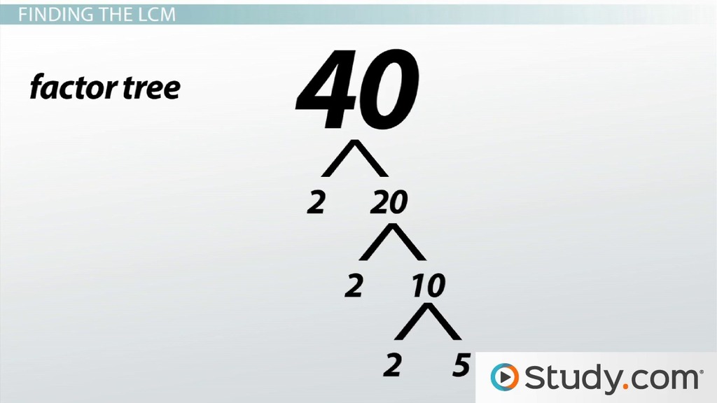 Using Prime Factorizations To Find The Least Common Multiples Video