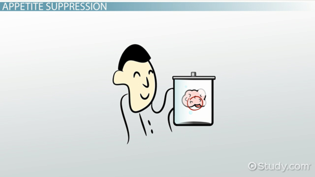 Ventromedial Hypothalamus | Overview, Definition & Functions - Lesson ...