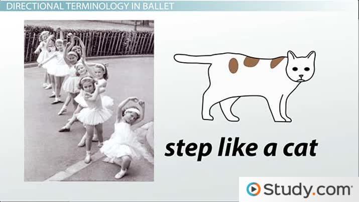 Ballet Dance | Definition & Terminology - Video | Study.com