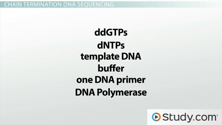 Sanger DNA Sequencing Method | Steps & Structure - Video | Study.com