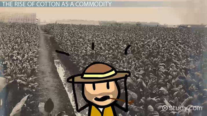 The Economics of American Slavery - Lesson | Study.com