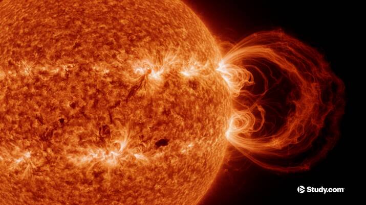How the Sun Provides Energy in the Ecosystem | Overview & Benefit ...
