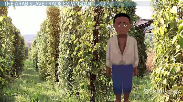 Arab & East African Slave Trade | History & Facts - Lesson | Study.com