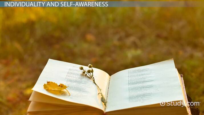 Romanticism | Overview & Characteristics - Lesson | Study.com