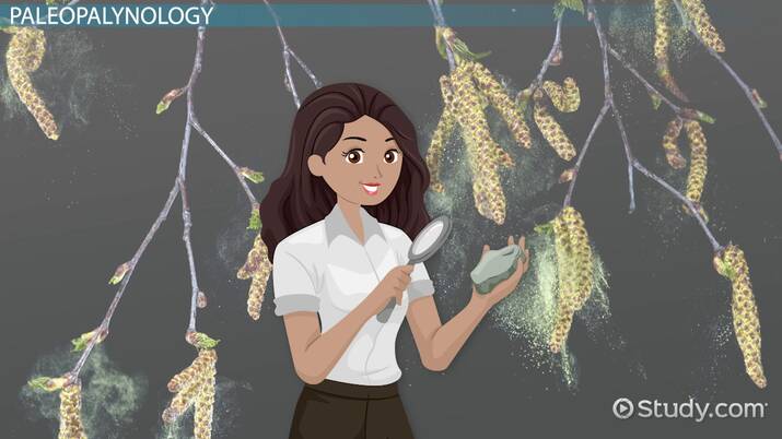 Palynology Definition & Branches - Lesson | Study.com