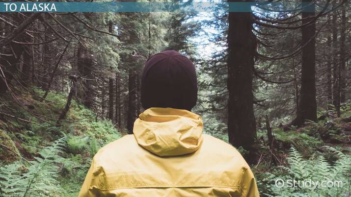 Into the Wild by Jon Krakauer | Summary, Timeline & Analysis - Lesson ...
