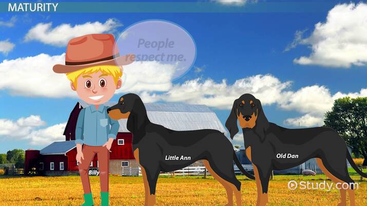 Where The Red Fern Grows Mountain Lion