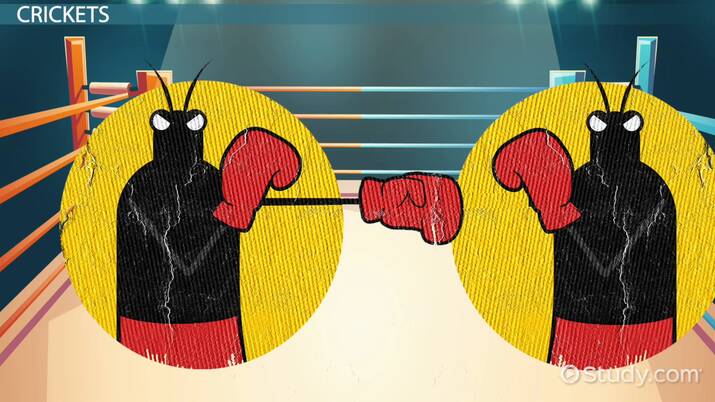 Ancient China Lesson for Kids: Entertainment & Art - Lesson | Study.com