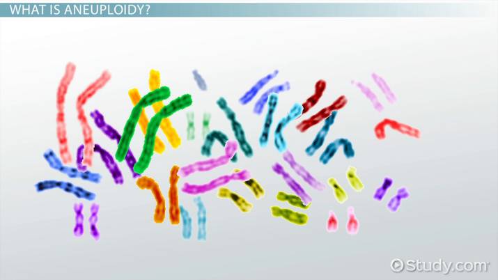 Aneuploidy | Definition, Disorders & Diagnosis - Lesson | Study.com
