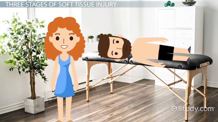 Soft Tissue Injury Repair: Stages & Massage Therapy Support - Lesson ...