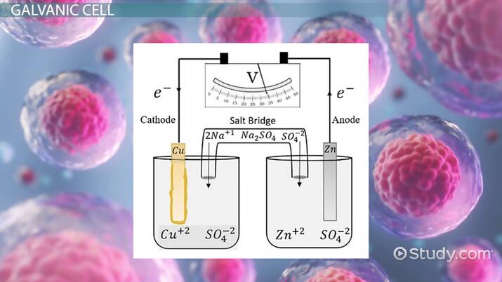 Galvanic vs. Electrolytic Cells | Definition & Diagrams - Video | Study.com