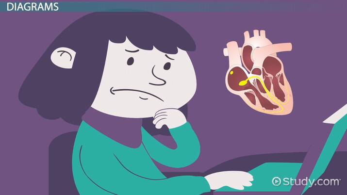 Interpreting Graphics in Persuasive & Functional Texts - Lesson | Study.com