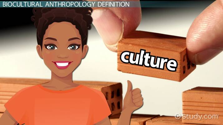 Biocultural Anthropology | Definition, Approach & Examples - Lesson | Study.com