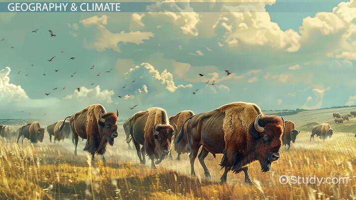 Midwestern United States | Location, Climate & Physical Features ...