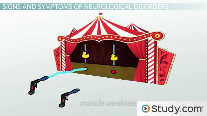 Common Signs & Symptoms of Neurological Conditions - Lesson | Study.com