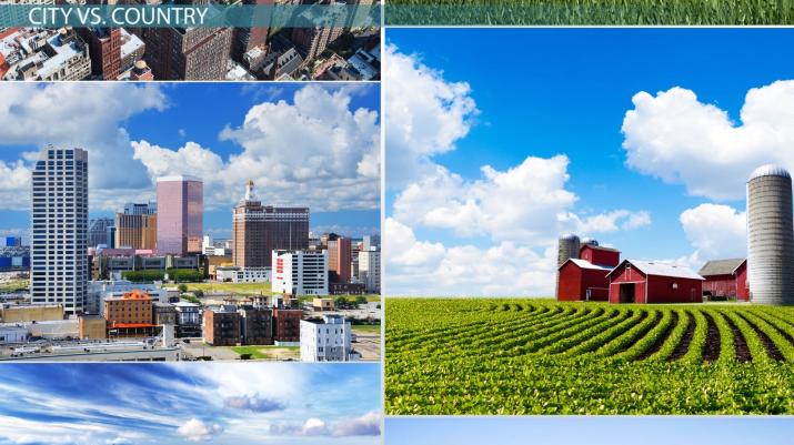 Comparing Life in Different Locations of the United States - Lesson ...