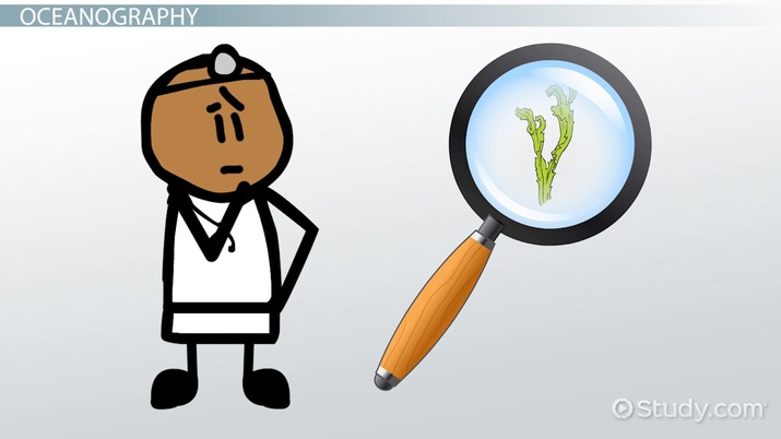 Oceanography Definition, Facts & Examples - Lesson | Study.com