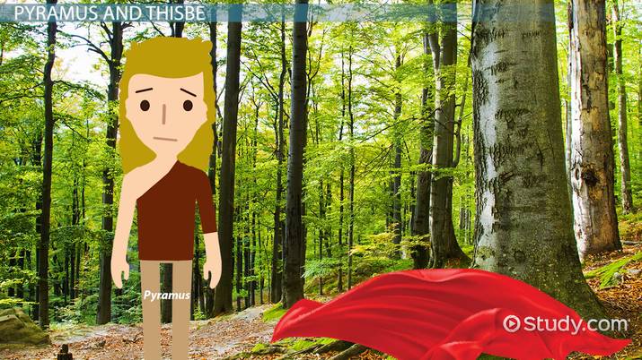 A Midsummer Night's Dream Play Within a Play: Analysis - Lesson | Study.com