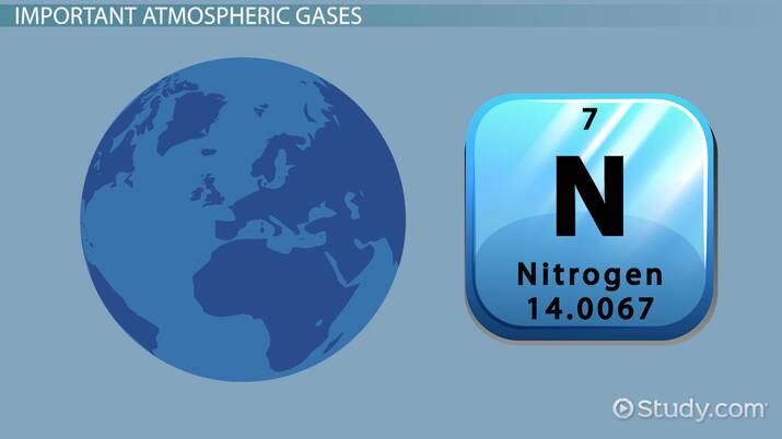 Nitrogen Fixation Process | Overview & Types - Lesson | Study.com