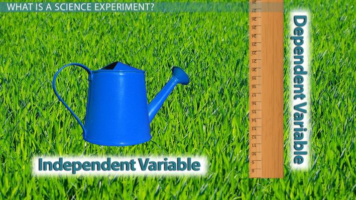 Evaluating Data from Scientific Investigation - Lesson | Study.com