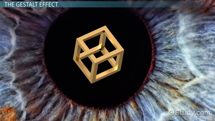 Reification | Definition, Fallacy & Examples - Lesson | Study.com