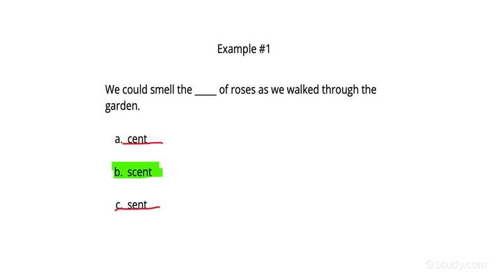 Choosing the Correct Homophone | English | Study.com