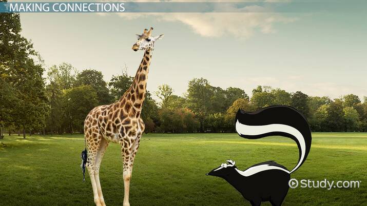 Making Real-Life Connections Between Words & Their Use: Lesson for Kids ...