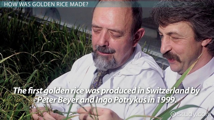 GMOs: Improving Nutrition and Golden Rice - Lesson | Study.com