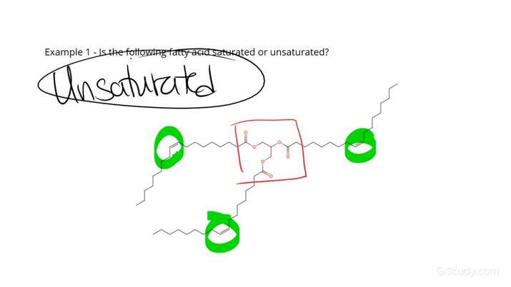 Identifying the Parts of a Triacylglycerol | Chemistry | Study.com