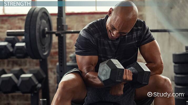Muscular Strength & Endurance | Overview & Principles - Lesson | Study.com