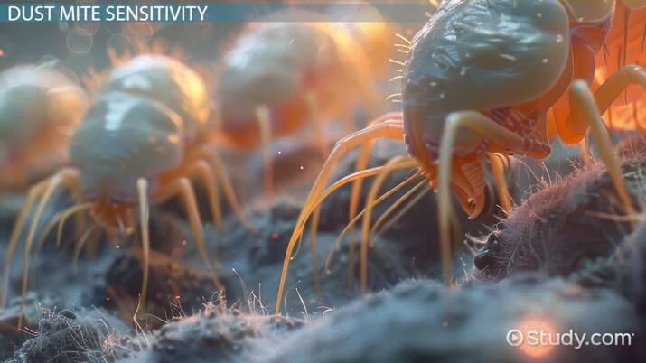 Dust Mites | Definition, Symptoms & Prevention - Video | Study.com