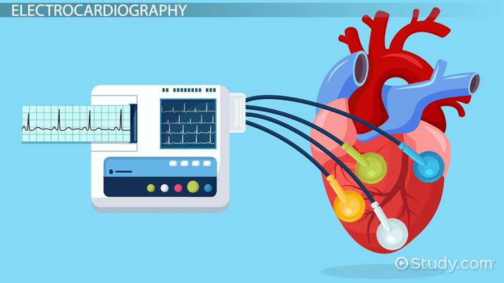Diagnostic Techniques: Purpose & Methods - Lesson | Study.com