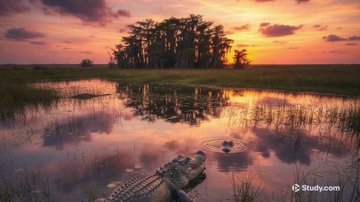 Everglades National Park | Location, History & Facts - Video | Study.com