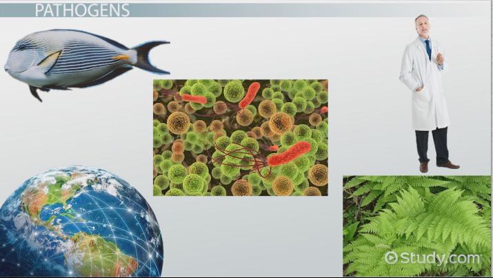 Impact of Pathogens on Biological Communities - Lesson | Study.com
