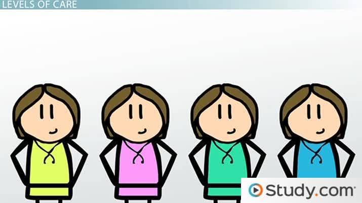 Institutional Care for Older Adults - Lesson | Study.com