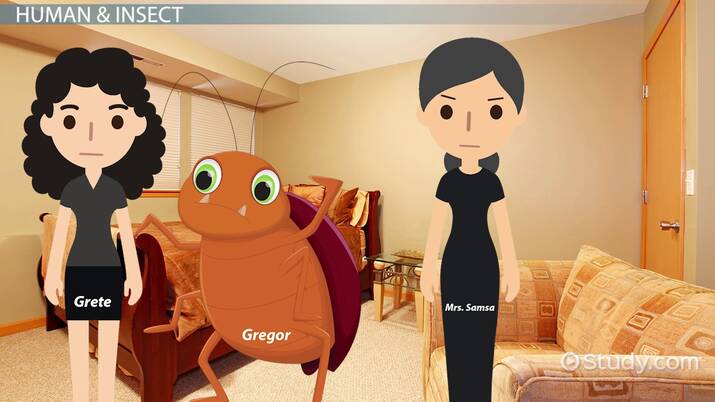 Gregor in The Metamorphosis | Role, Character & Analysis - Lesson ...