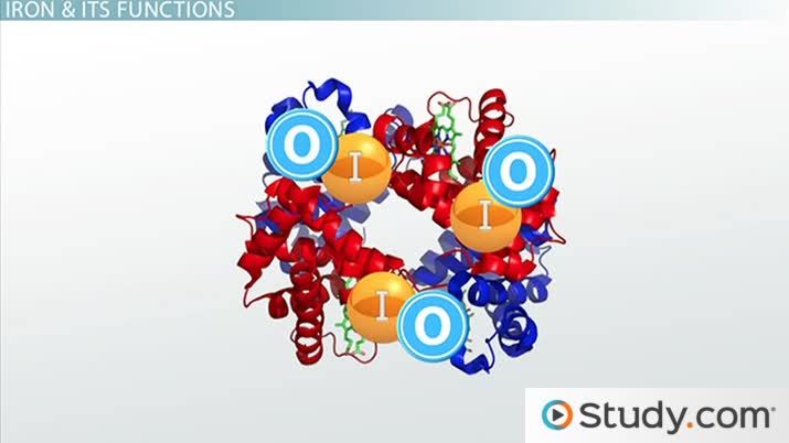 Iron: Deficiency & Toxicity Symptoms - Lesson | Study.com